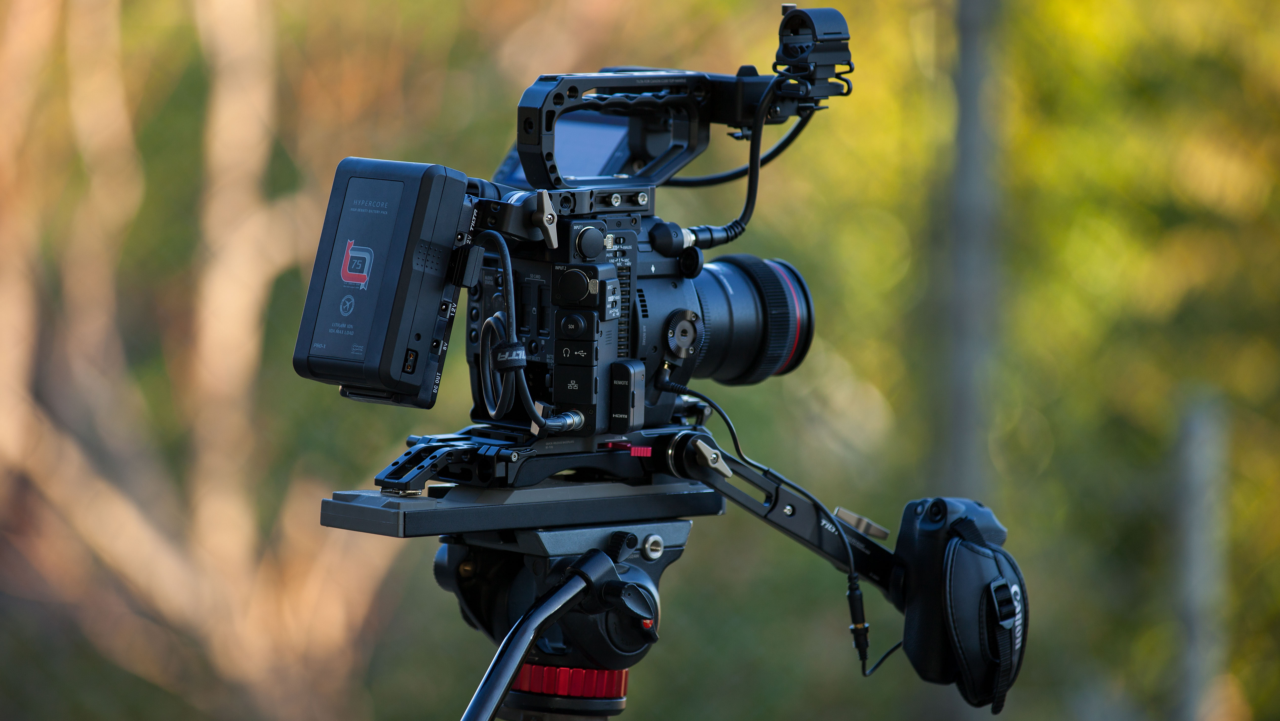 Camera Cage for Canon C200 (Open Box) | Tilta