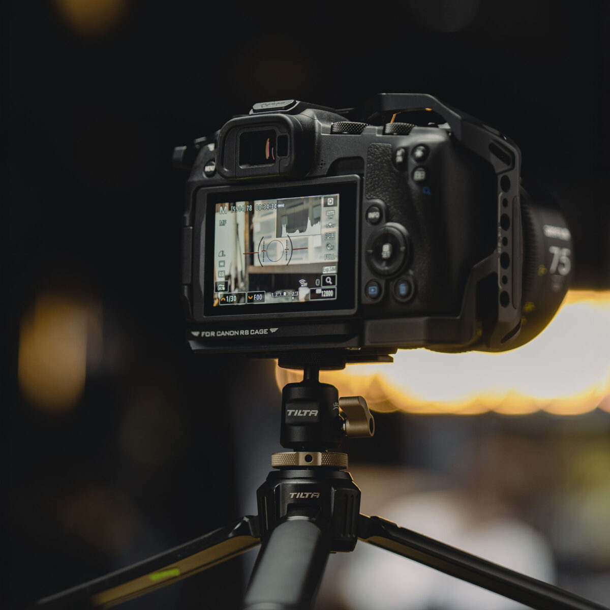 Tilta Mini Ball Head Mount | Tilta