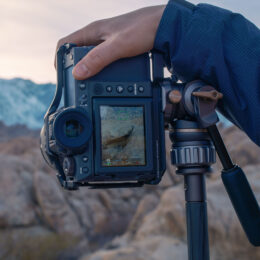 Tilta VT05 Travel Video Fluid Head with 3-Stage Carbon Fiber Tripod ...